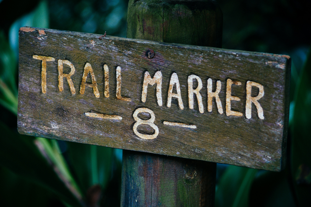 Angel Number 8 Meaning: Find Abundance (& Other Symbolism)