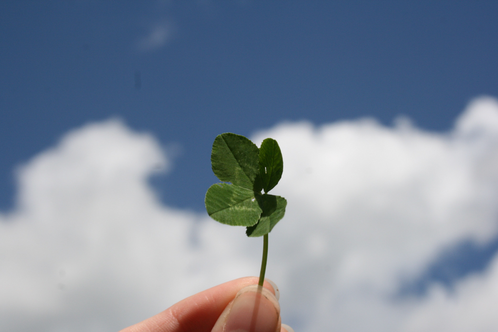 The 1133 Angel Number: A Sign of Good Luck and Positive Omens